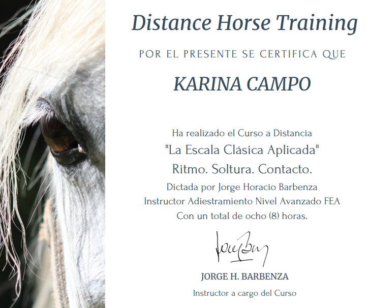 Universo Caballo - Certificados